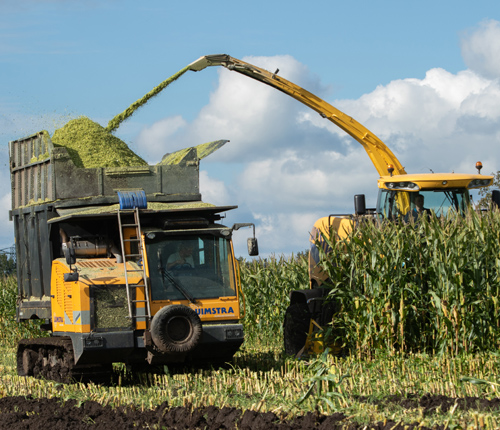 Meld voor 15 februari uw maislandpercelen! - Luimstra